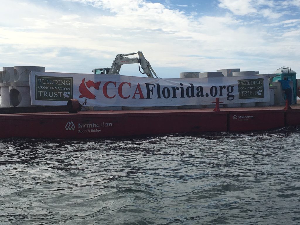 Donations Archives - CCA Florida