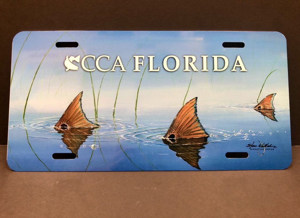 Gifts Archives - CCA Florida