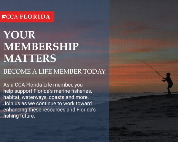 Membership - CCA Florida