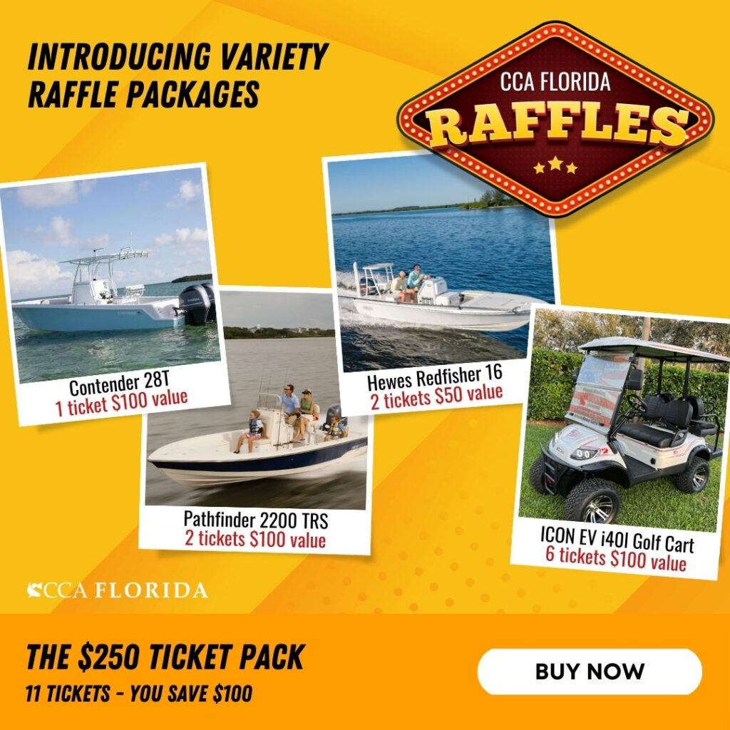 Raffle Packages Archives - CCA Florida