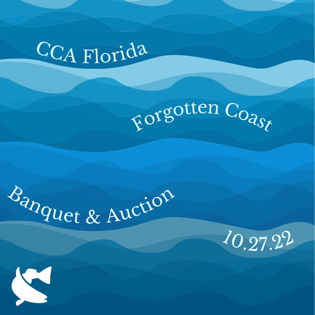 Forgotten Coast - CCA Florida