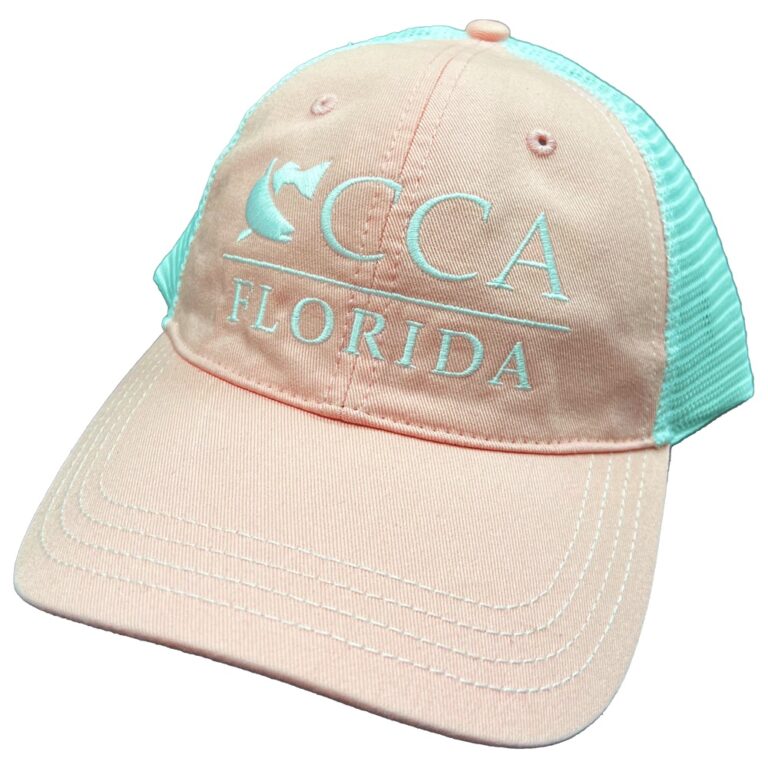 Apparel Archives - CCA Florida