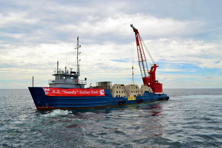 Working for You - CCA Florida