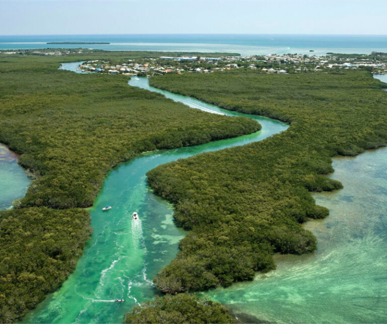 Florida Keys National Marine Sanctuary Restoration Blueprint - CCA Florida