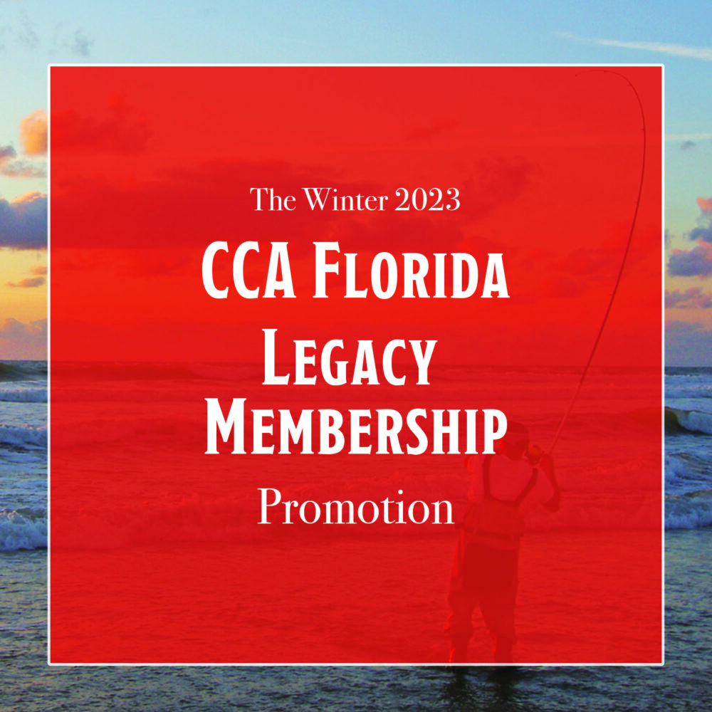 Membership - CCA Florida