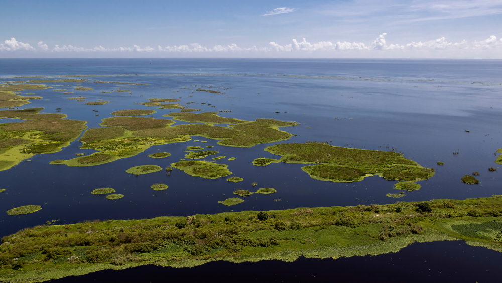 Letter to USACE: Lake Okeechobee Watershed Restoration Plan - CCA Florida