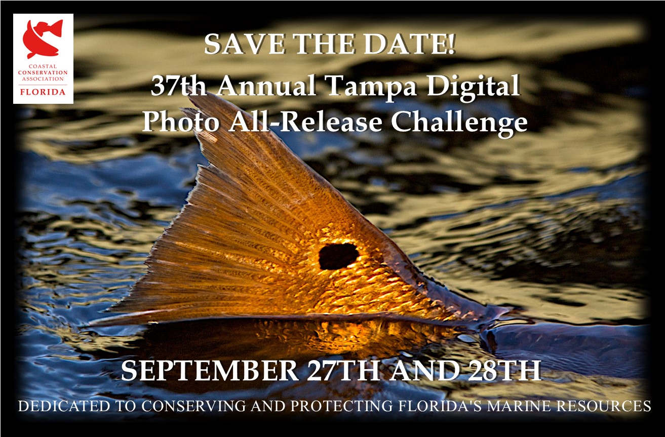 37th Annual CCA Tampa All Release Tournament - CCA Florida